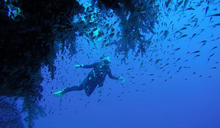 Jean-Louis Plongeur mer rouge - Club de plongée d'Evian